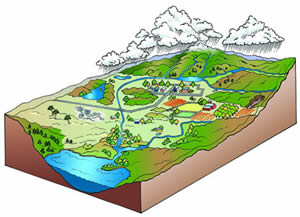 What is a Watershed? | Lake Elsinore and San Jacinto Watersheds Authority